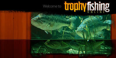 Trophy Fishing Online - Free Browser Fishing Game